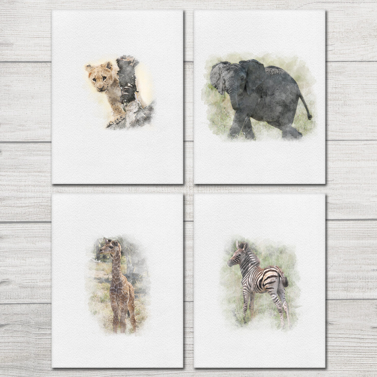 African Safari Animal Art Prints - A&M Natural Living